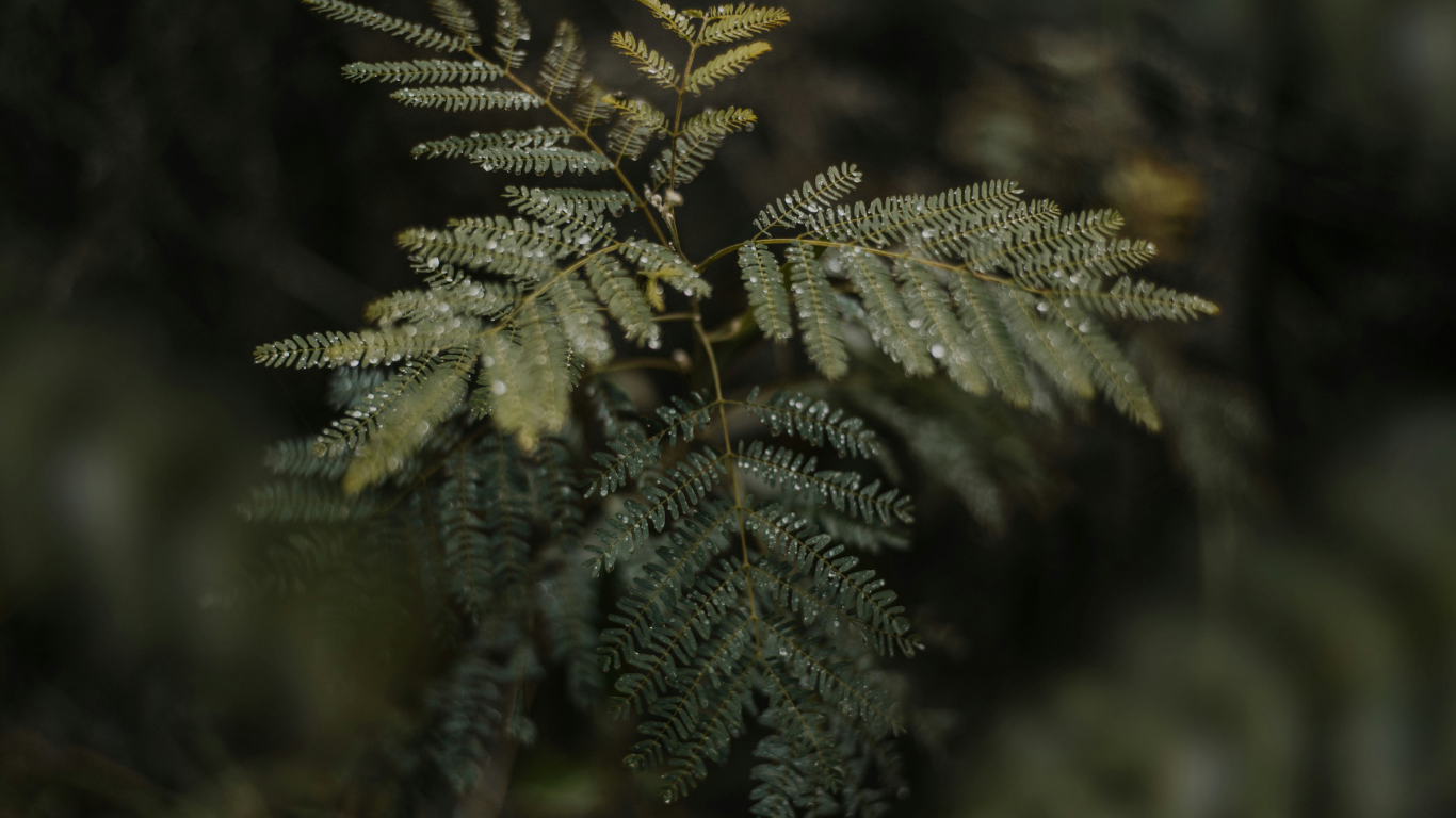 Qué es un EMS y cómo mejora tu gestión energética | OTEA