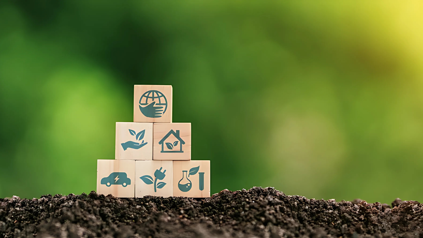 Certificados de Ahorro Energético (CAEs): ¿qué son y qué beneficios ...